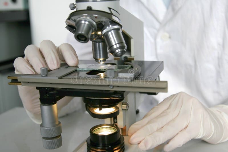 Working in the laboratory stock photo. Image of color - 2472464