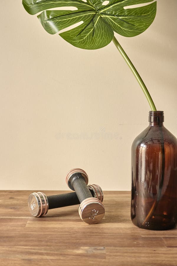 Work Out at Home stock image. Image of loss, object - 228395591