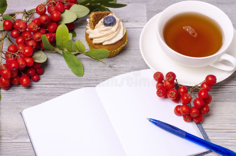 Work Outdoors with a Cup of Tea Stock Photo - Image of lunch, notebook ...
