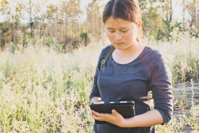 Work Outside the Office, Where You Can Work Stock Image - Image of ...