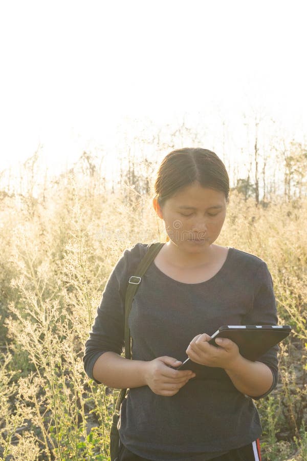 Work Outside the Office, Where You Can Work Stock Image - Image of ...