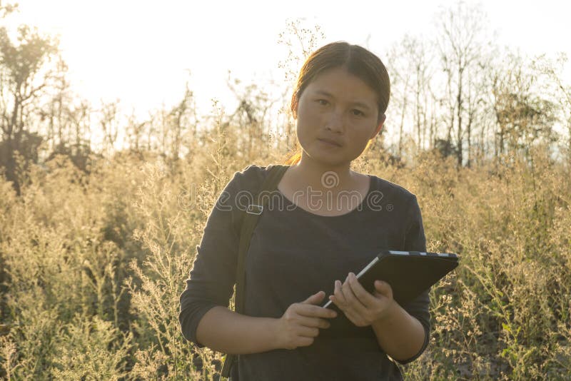 Work Outside the Office, Where You Can Work Stock Image - Image of ...