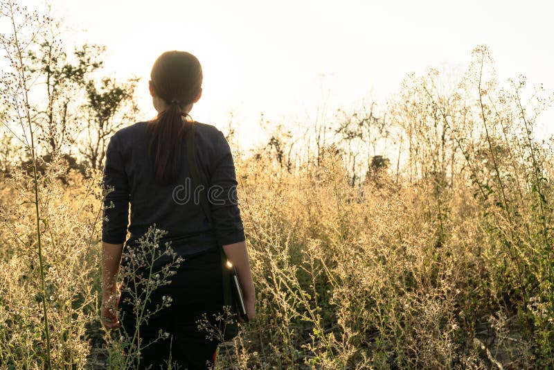 Work Outside the Office, Where You Can Work Stock Image - Image of ...