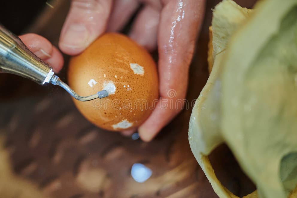 Work with a Piezo Instrument in the Educational Process of Bone ...