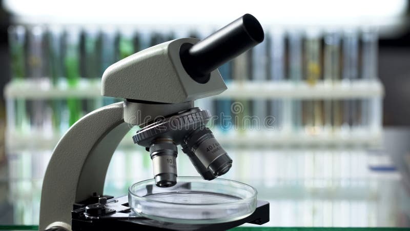 Work Place of Laboratory Worker, Microscope Adjusted and Ready for ...