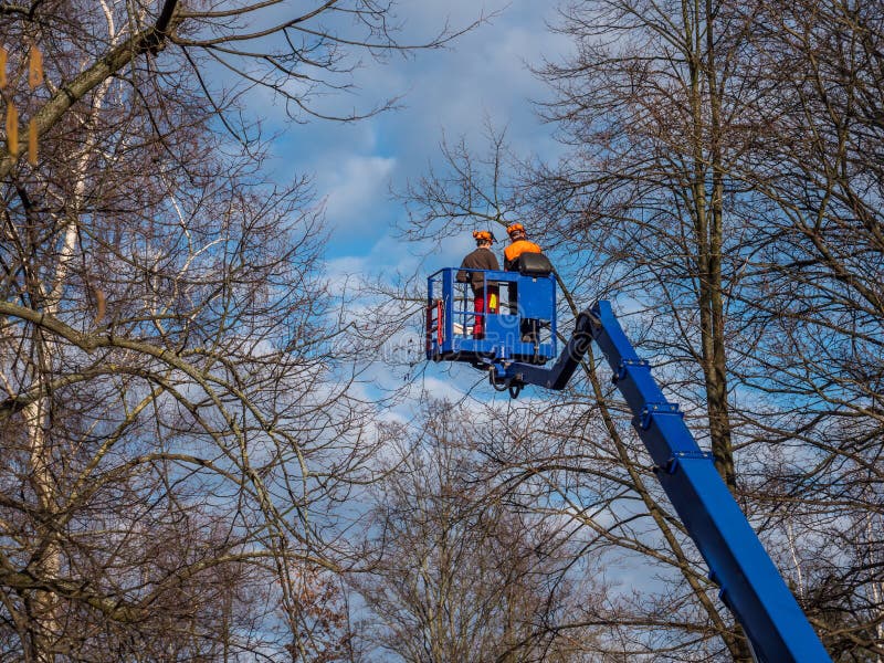 Work Platform Tree Care Spring Editorial Stock Image - Image of cooked ...