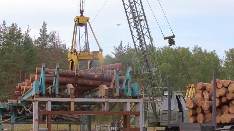 The Process of Unloading Boxes from a Truck. Goods are Unloaded from ...