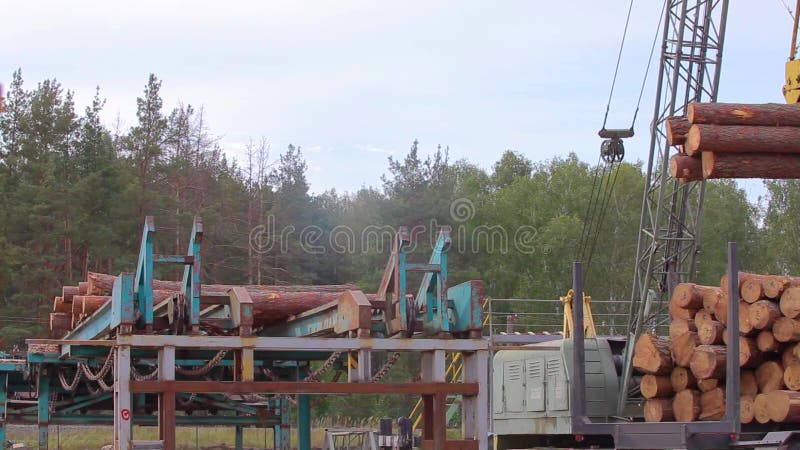 The Process of Unloading Boxes from a Truck. Goods are Unloaded from ...