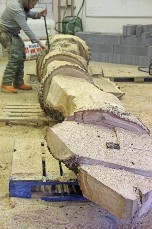 Work in Progress editorial photo. Image of trunk, carved - 47770956 Work in Progress editorial photo. Image of trunk, carved - 47770956