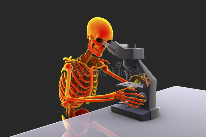 Work-related Musculoskeletal Disorders in Laboratory Workers, 3D ...