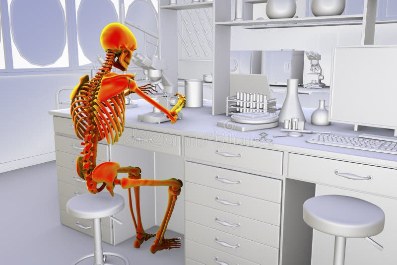 Work-related Musculoskeletal Disorders in Laboratory Workers, 3D ...