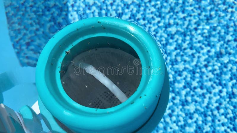 Work of Skimmer in Frame Pool Close-up Stock Video - Video of bright ...