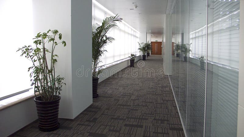 Work space stock photo. Image of glass, people, corridor - 15310686