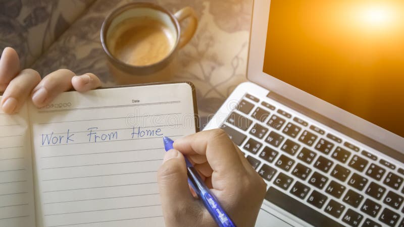 Woman Holding a Notebook, Holding a Pen, Ready To Work from Home or E ...
