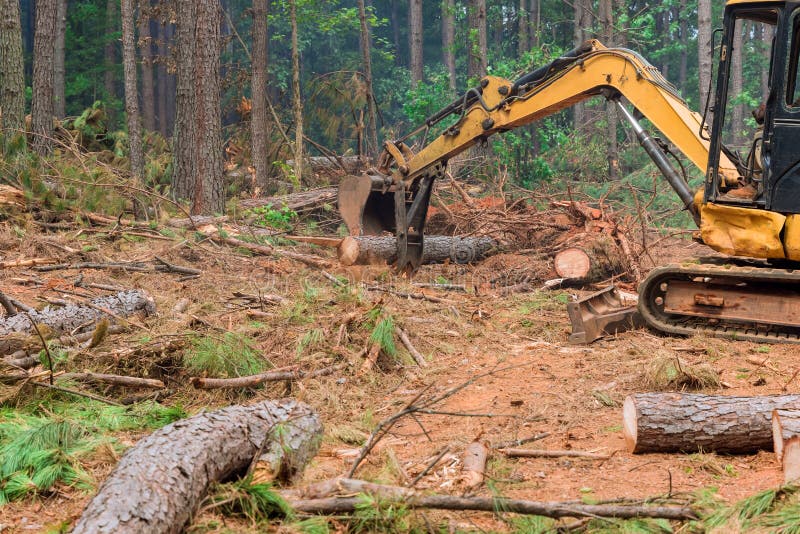 Lift Manipulator Unloads Wooden Delivered Building Material on ...