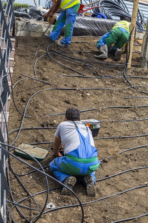 Workcrews Testing Drip Irrigation for Plants Editorial Image - Image of ...