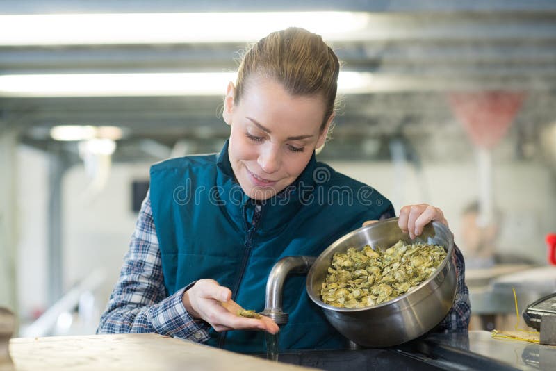 Worker Adding Some Ingredient Stock Photo - Image of holding, portrait ...
