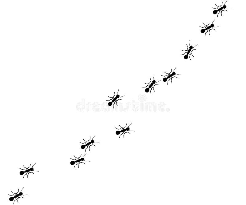 Red ants border / frame stock vector. Illustration of brown - 6342528