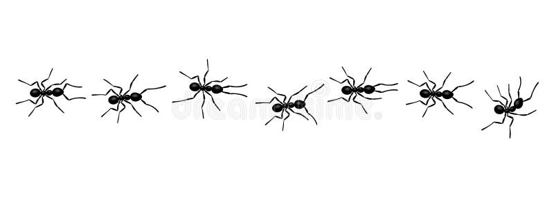 Bug Trail Stock Illustrations – 555 Bug Trail Stock Illustrations ...