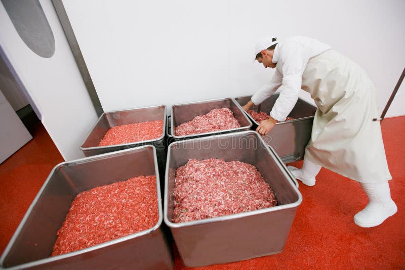 A Worker Arranged Meat Minced in an Industrial Process in a Stainless ...