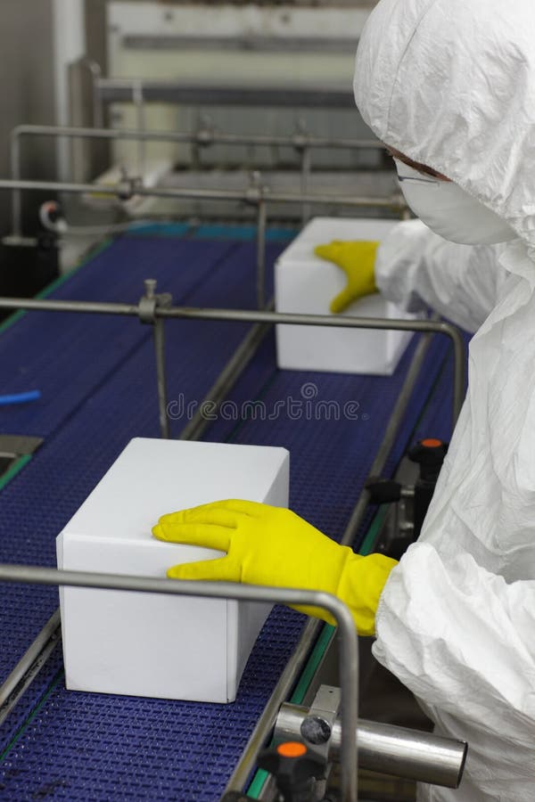 Worker at Automatic Production Line in Factory Stock Image - Image of ...