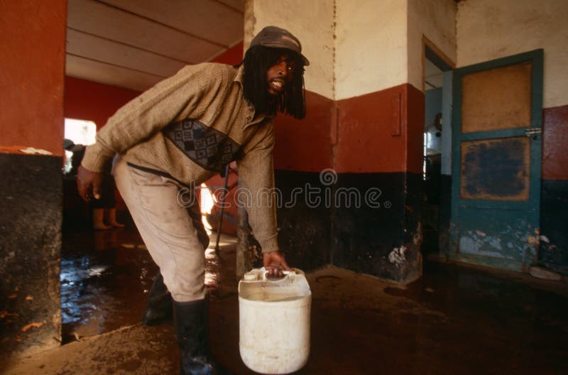 Worker in a Barn in South Africa. Editorial Photography - Image of ...