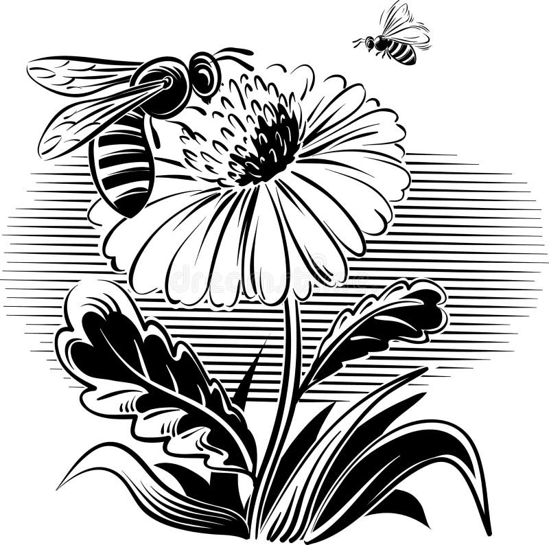 Bee Collecting Pollen Stock Illustrations – 197 Bee Collecting Pollen ...