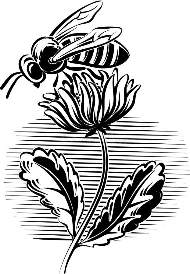 Worker bee on a flower. stock illustration. Illustration of gather ...