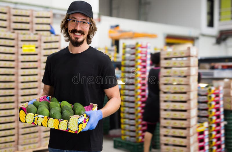 Worker with a Box of Mango Fruits Stock Photo - Image of processing ...