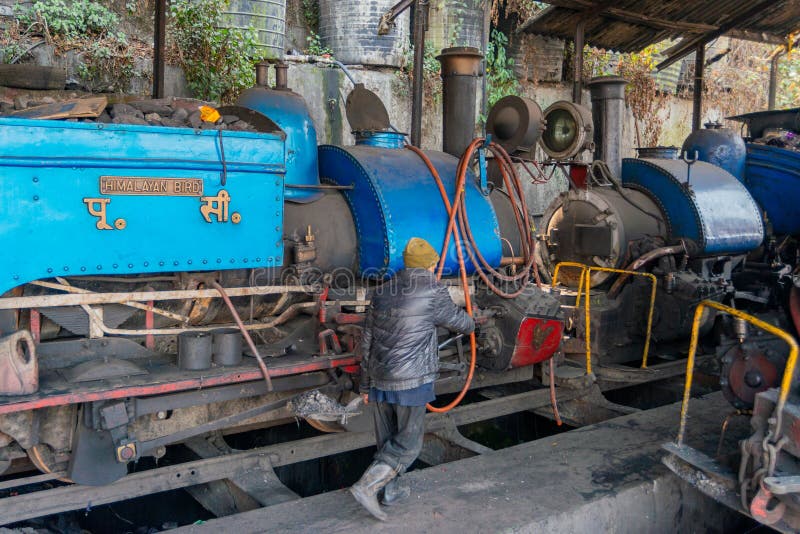 Worker Bringing Coal for Loading Mini Steam Train at the Darjeeling ...