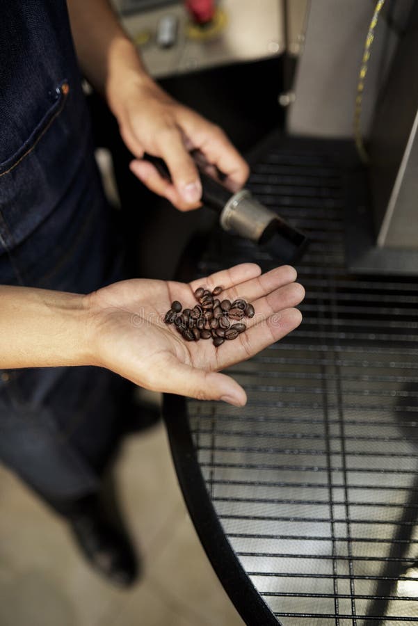 Worker Checking the Quality of Coffee Beans Stock Image - Image of ...