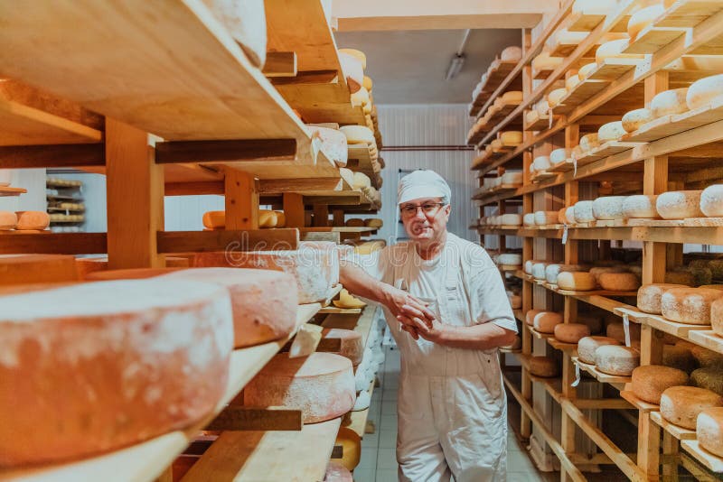 A Worker at a Cheese Factory Sorting Freshly Processed Cheese on Drying ...