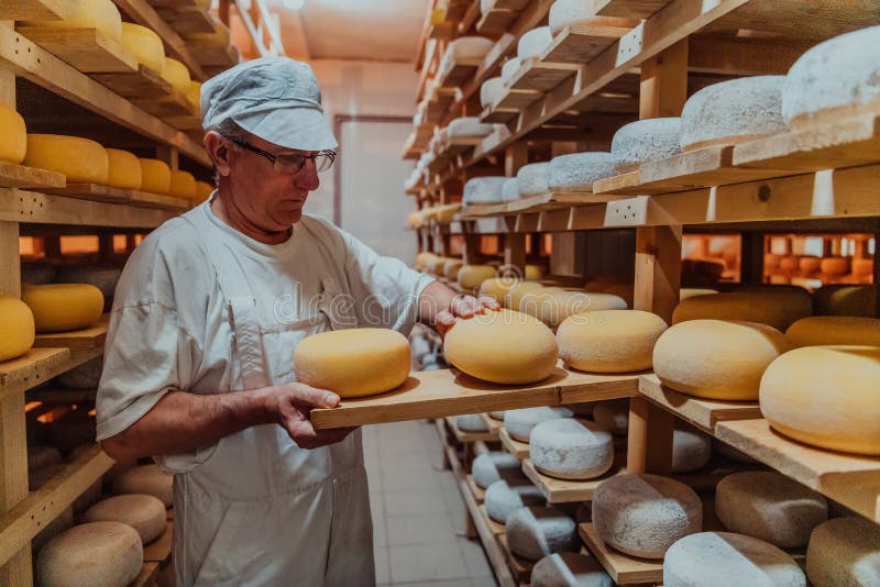 A Worker at a Cheese Factory Sorting Freshly Processed Cheese on Drying ...