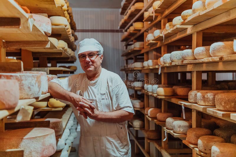 A Worker at a Cheese Factory Sorting Freshly Processed Cheese on Drying ...