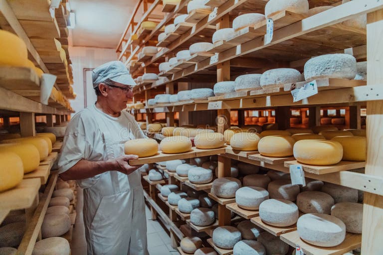 A Worker at a Cheese Factory Sorting Freshly Processed Cheese on Drying ...