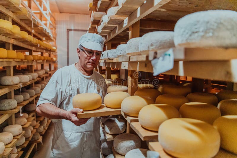A Worker at a Cheese Factory Sorting Freshly Processed Cheese on Drying ...