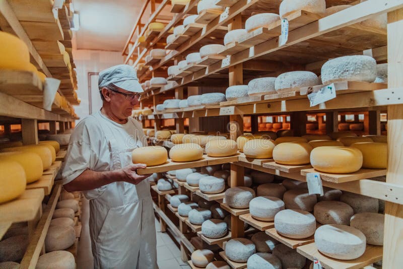 A Worker at a Cheese Factory Sorting Freshly Processed Cheese on Drying ...