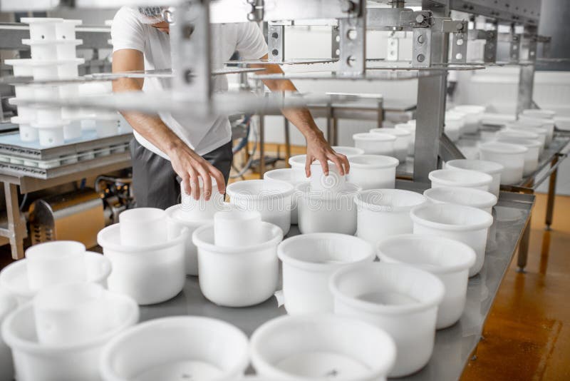 Worker at the Cheese Manufacturing Stock Image - Image of plant ...