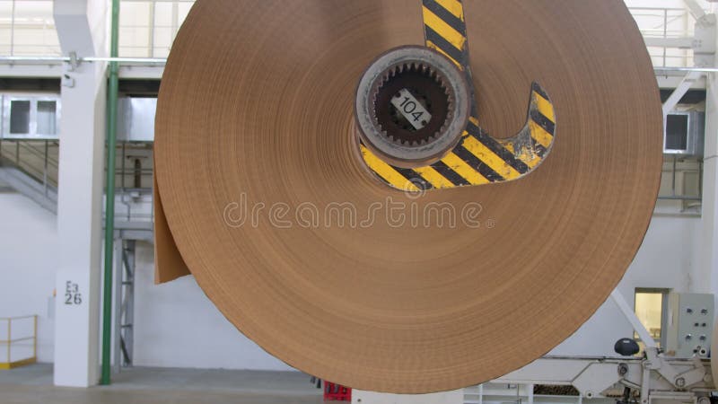Worker Controls Lifting of Packaging Paper Roll in Shop Stock Footage ...