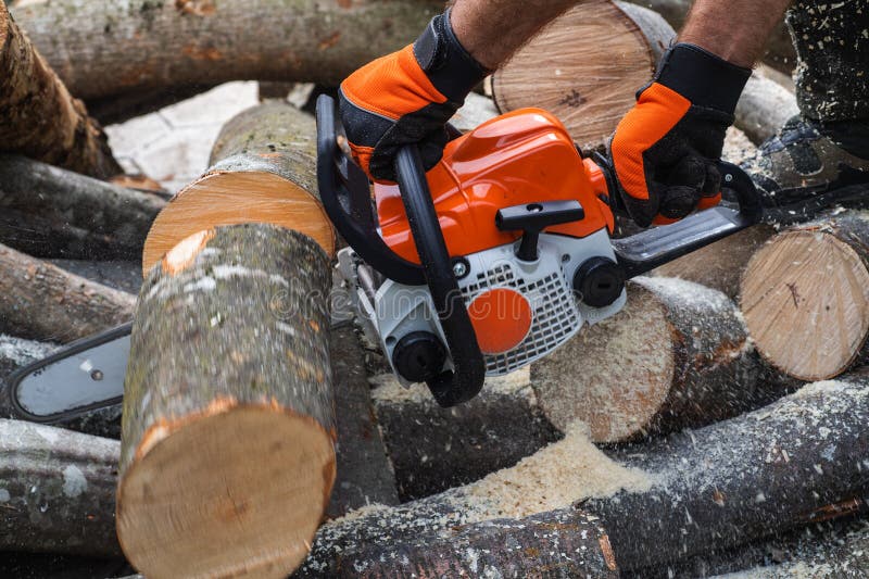The Worker Cutting the Tree with a Chainsaw Stock Image - Image of ...