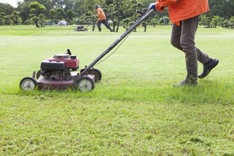 Worker Cutting Grass Field with Lawn Mower Stock Photo - Image of male ...