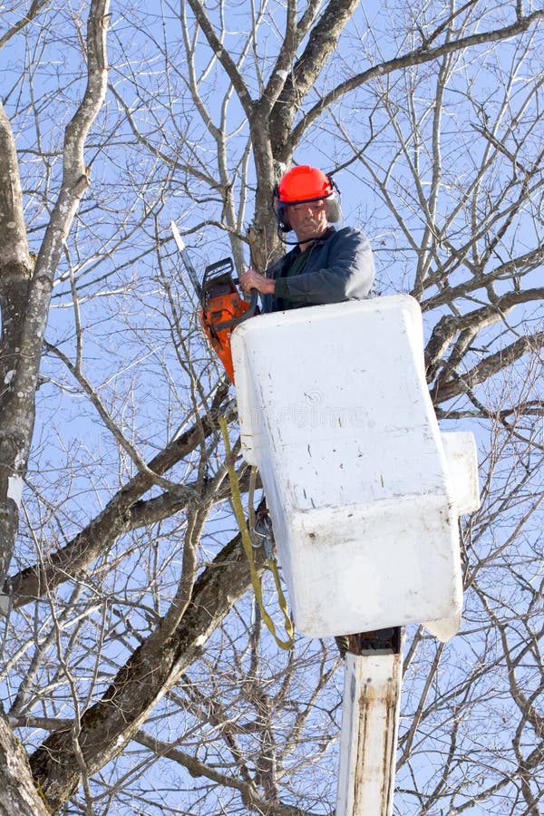 Tree branch cutting stock photo. Image of health, labour - 22187082
