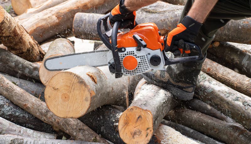 The Worker Cutting the Tree with a Chainsaw Stock Image - Image of ...