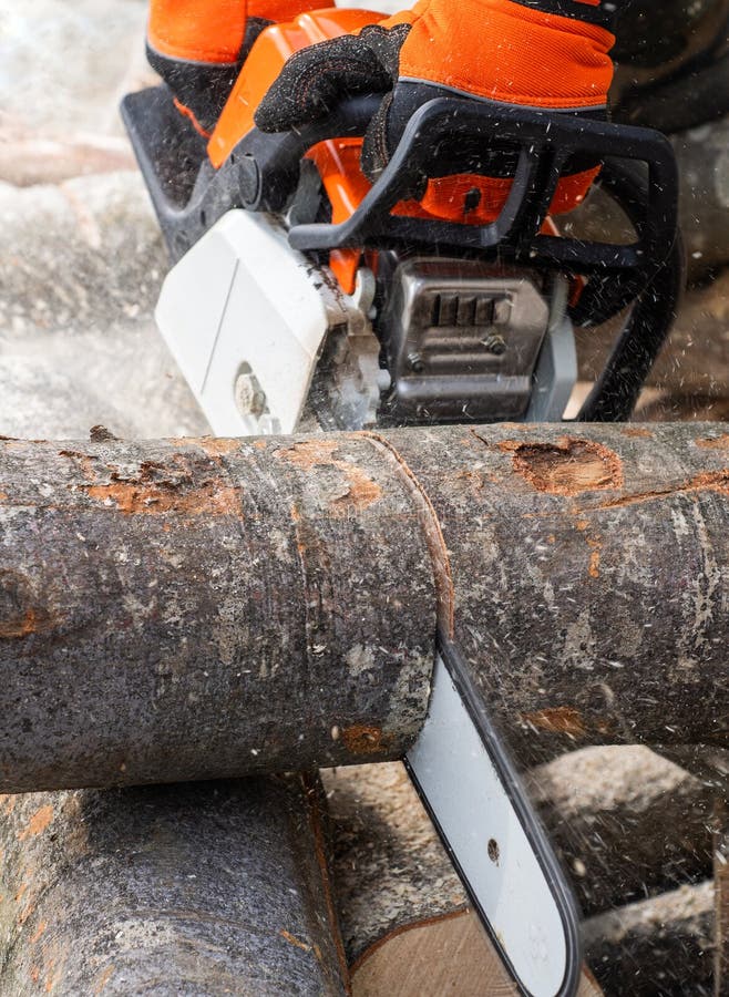 The Worker Cutting the Tree with a Chainsaw Stock Photo - Image of ...