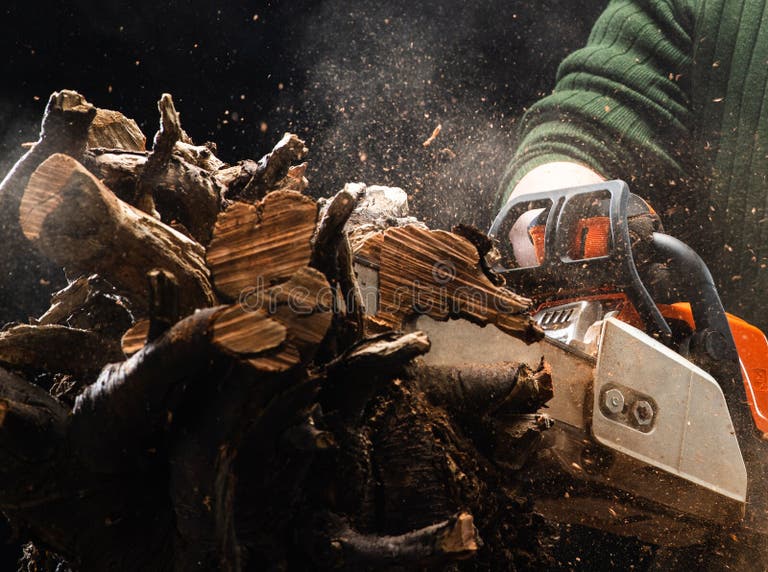 The Worker Cutting the Tree with a Chainsaw Stock Photo - Image of ...