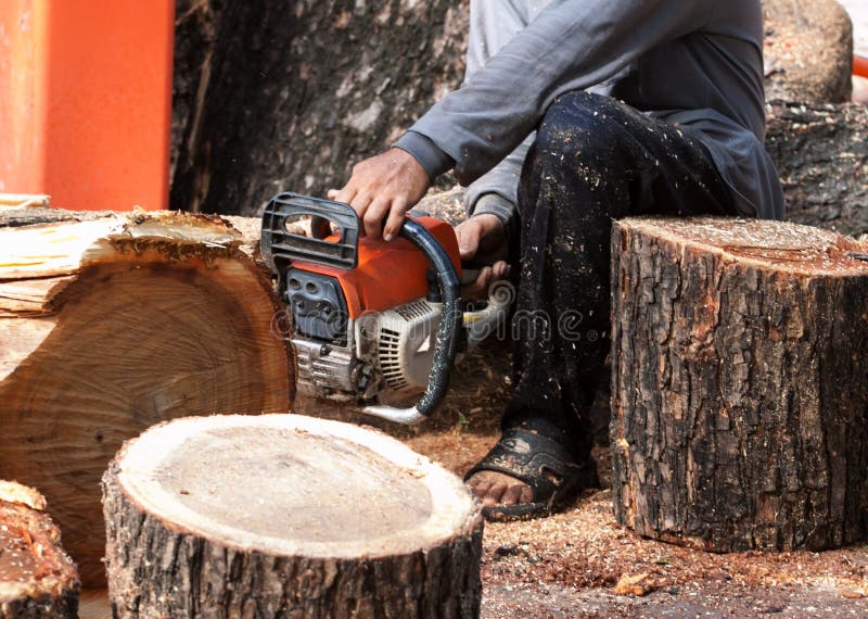 Worker Cutting Tree Wood by Engine Saw Stock Photo - Image of wood ...