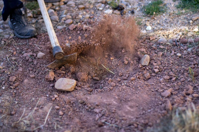 Worker Digging Red Soil with Pickaxe, Creating Dust Cloud Stock Image ...