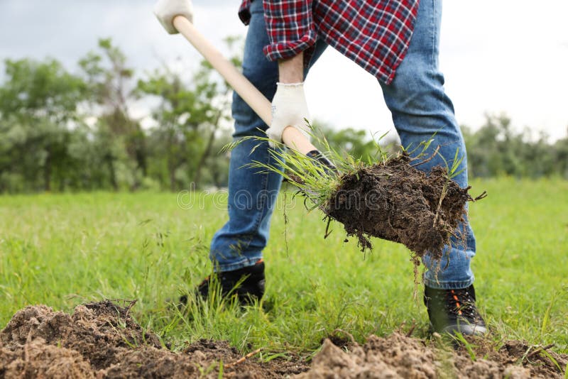 Digging soil stock image. Image of farm, gardener, cultivate - 19121309