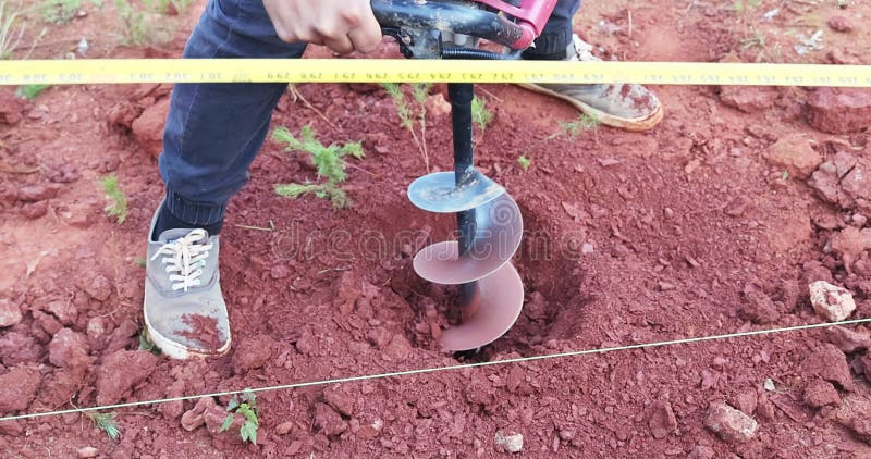 Worker Digs Ground for Fencing Posts Using a Gasoline Powered Drilling ...