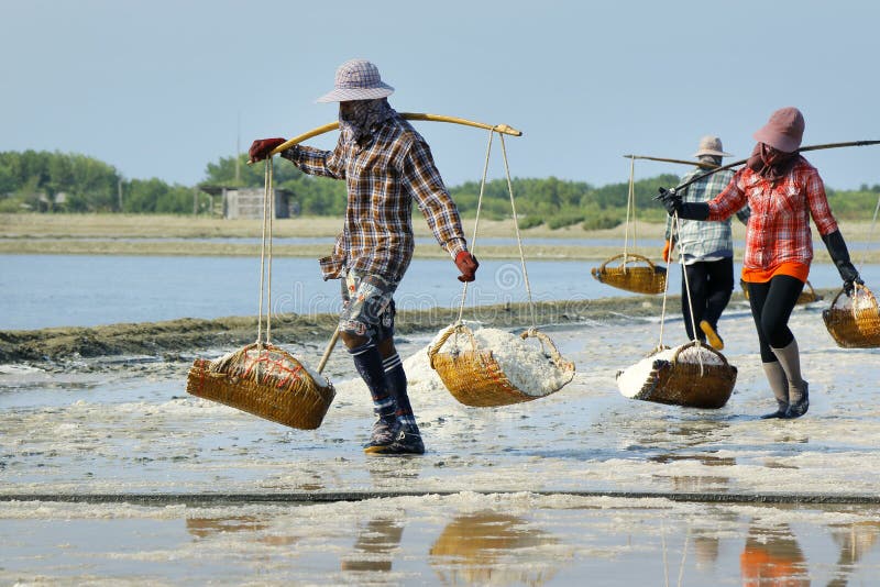 Worker Harvesting Salt in Salt Field Editorial Photography - Image of ...